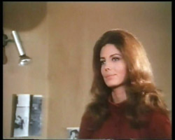 Stojo - Freelance (1971) DVD